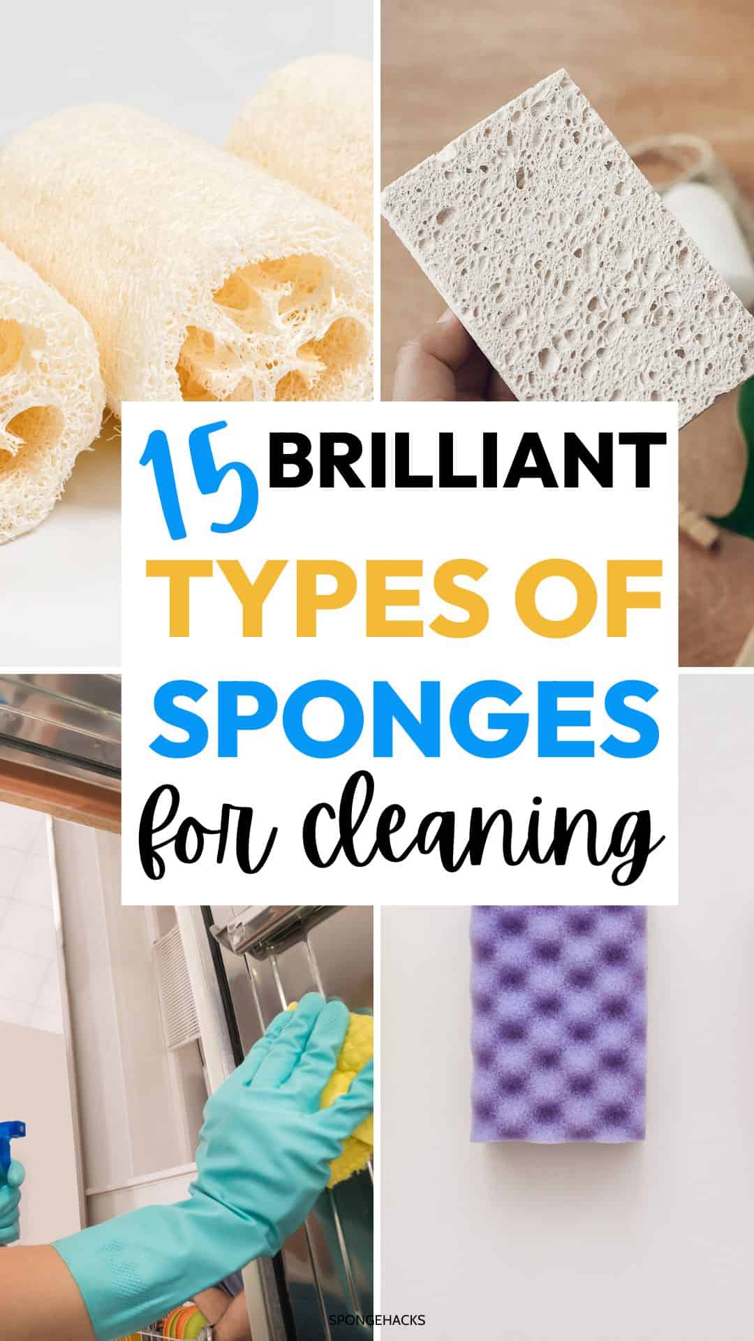 15 Brilliant Types of Sponges for Cleaning