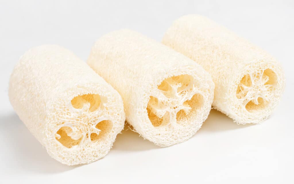 15 Brilliant Types of Sponges for Cleaning