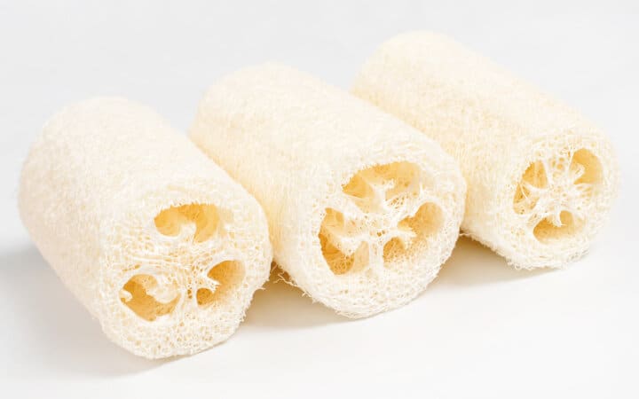 15 Brilliant Types of Sponges for Cleaning