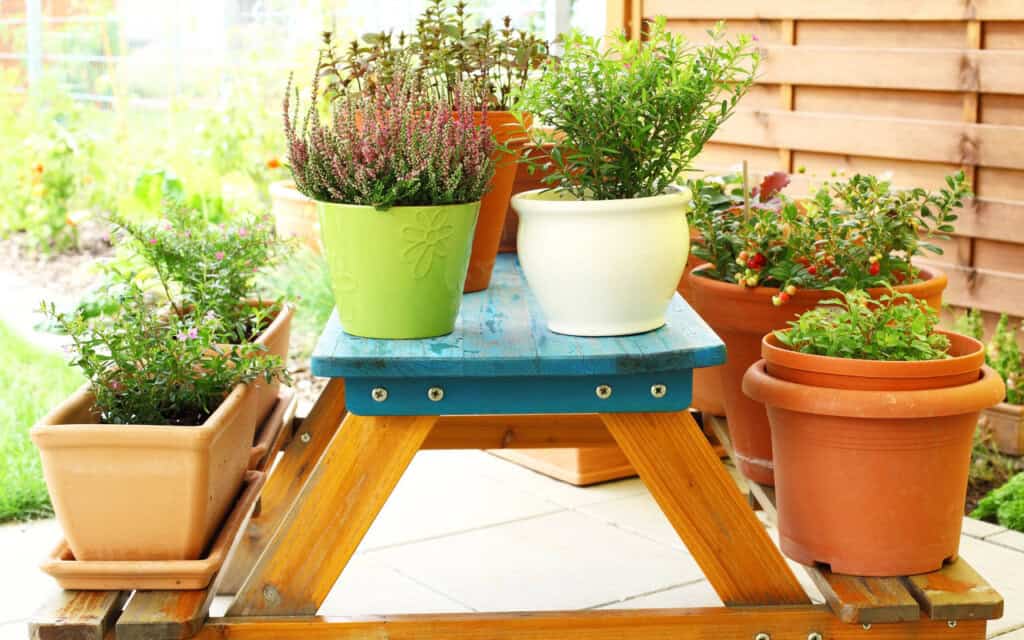 How to Design a Container Garden for Your Flowers