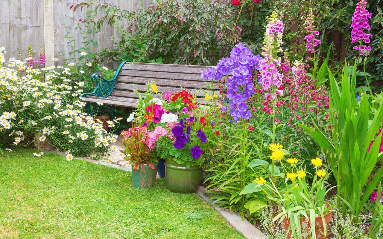 How to Design a Container Garden for Your Flowers