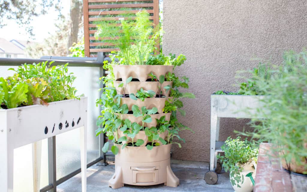 How to Design a Container Garden for Your Flowers