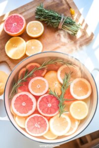 The Best Simmering Pot Recipe That Makes Your Home Smell Like a Holiday ...