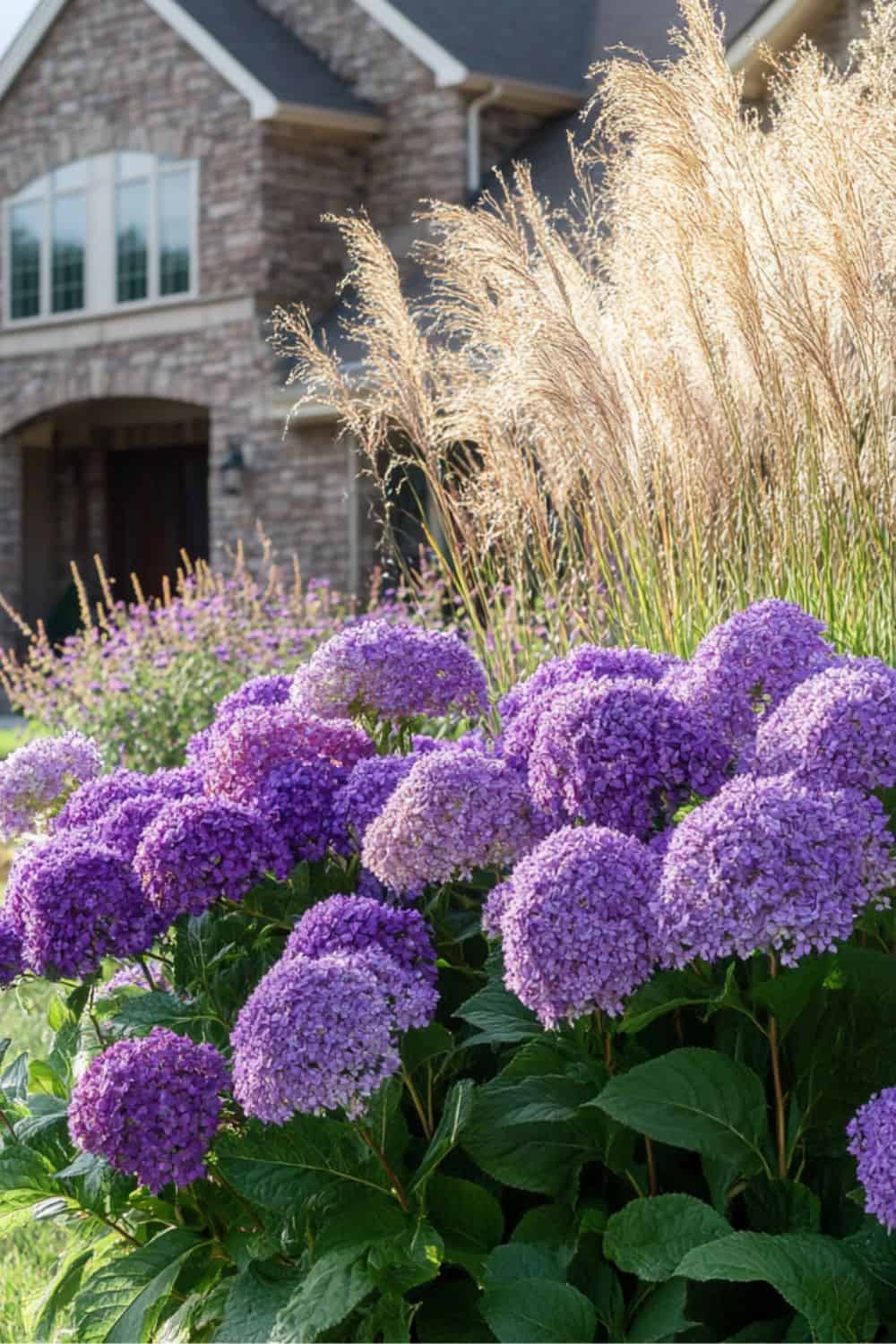 Beautiful Hydrangea Landscaping Ideas for Your Garden