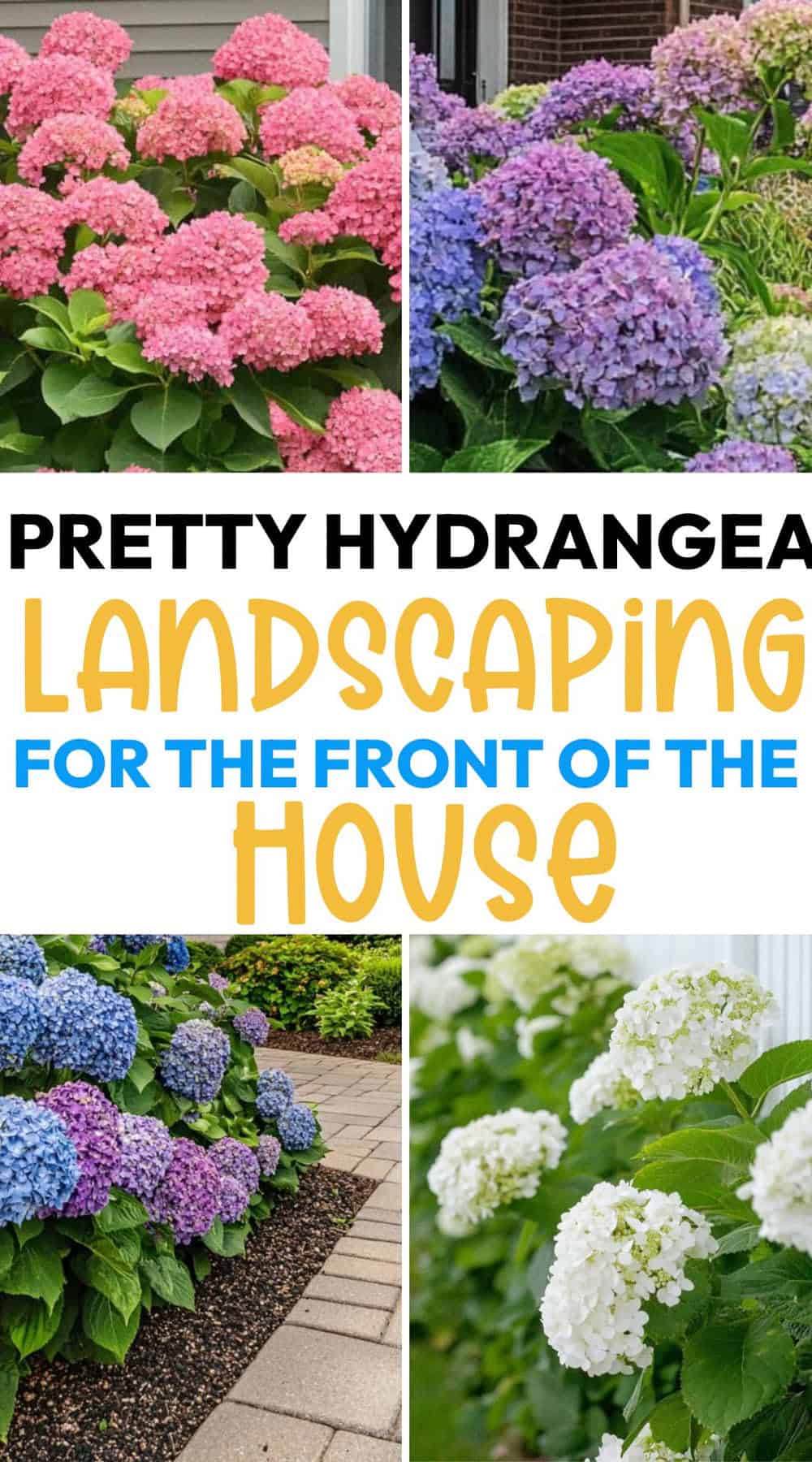 Beautiful Hydrangea Landscaping Ideas for Your Garden