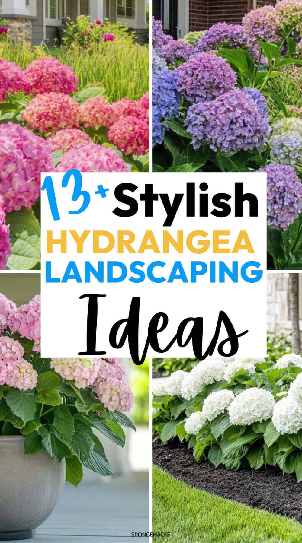 Beautiful Hydrangea Landscaping Ideas for Your Garden