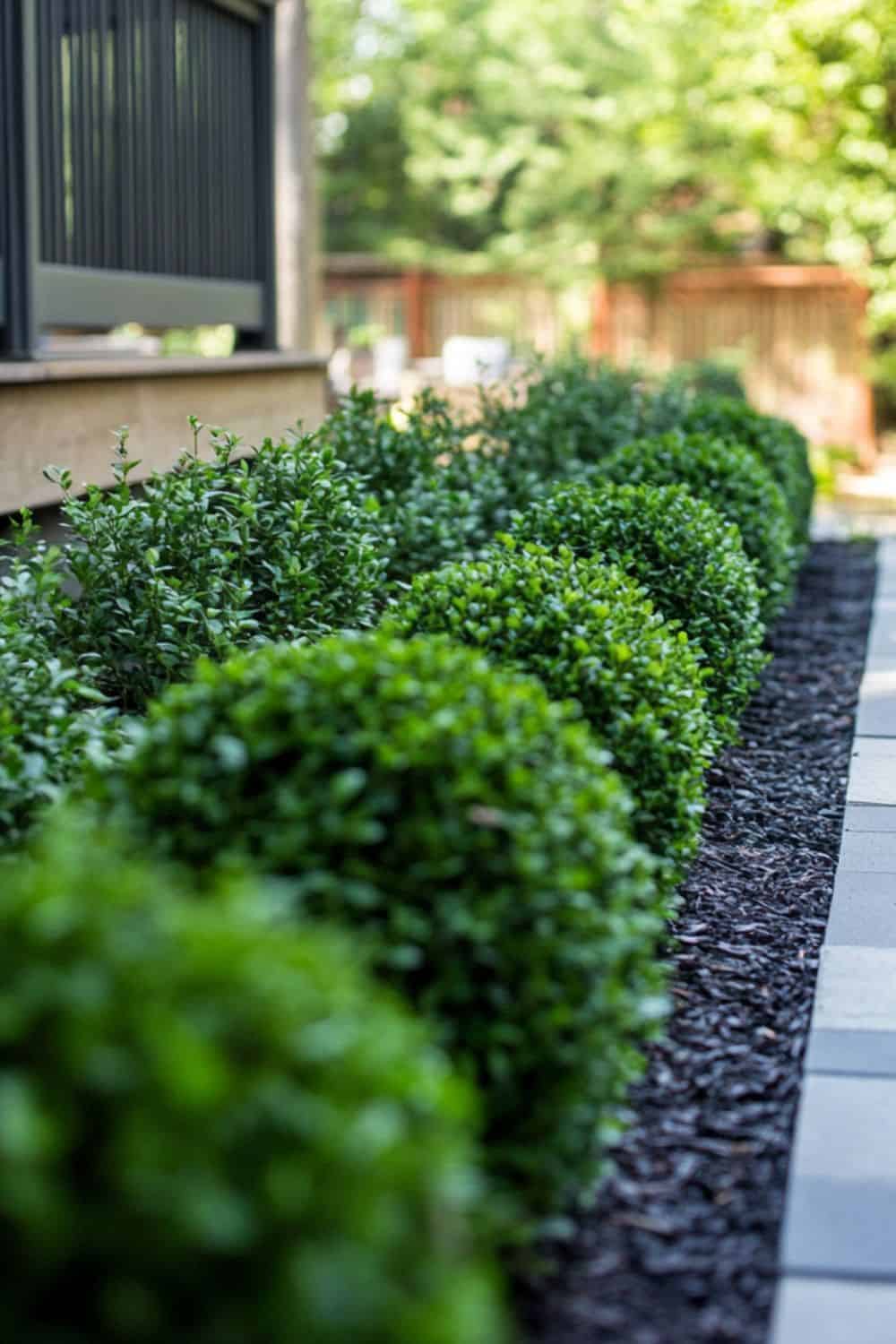 18 Easy Ways for Landscaping Around the Deck